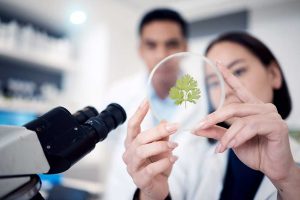 Designing a Molecular Biology Experiment Using Restriction Endonuclease ...